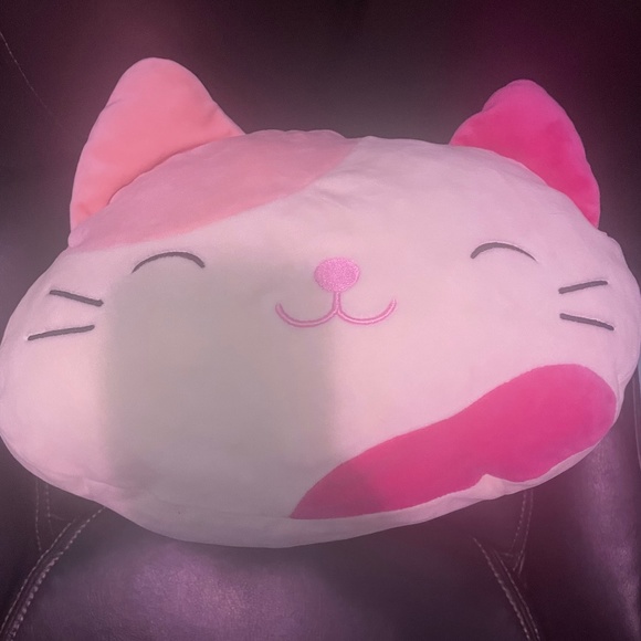 Squishmallows | Toys | Htf Roxy The Cat Squishmallows Pink White Cat ...